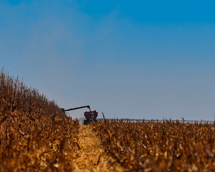 que-hacemos :: MSU Agro | Empresa líder en negocios agropecuarios