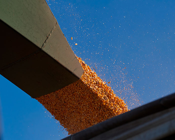 que-hacemos :: MSU Agro | Empresa líder en negocios agropecuarios